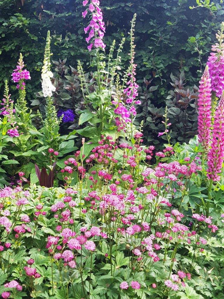 An Introduction to Bee Gardens - Wasted.ie