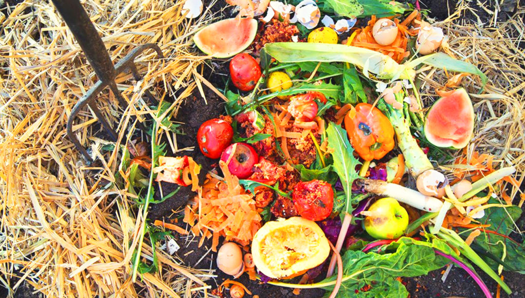 Composting: One solution to food waste - Wasted.ie