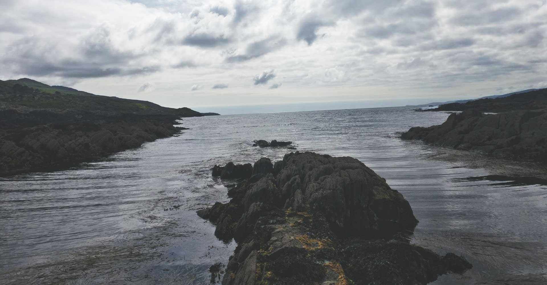 The World of Wild Irish Seaweed – Wasted.ie