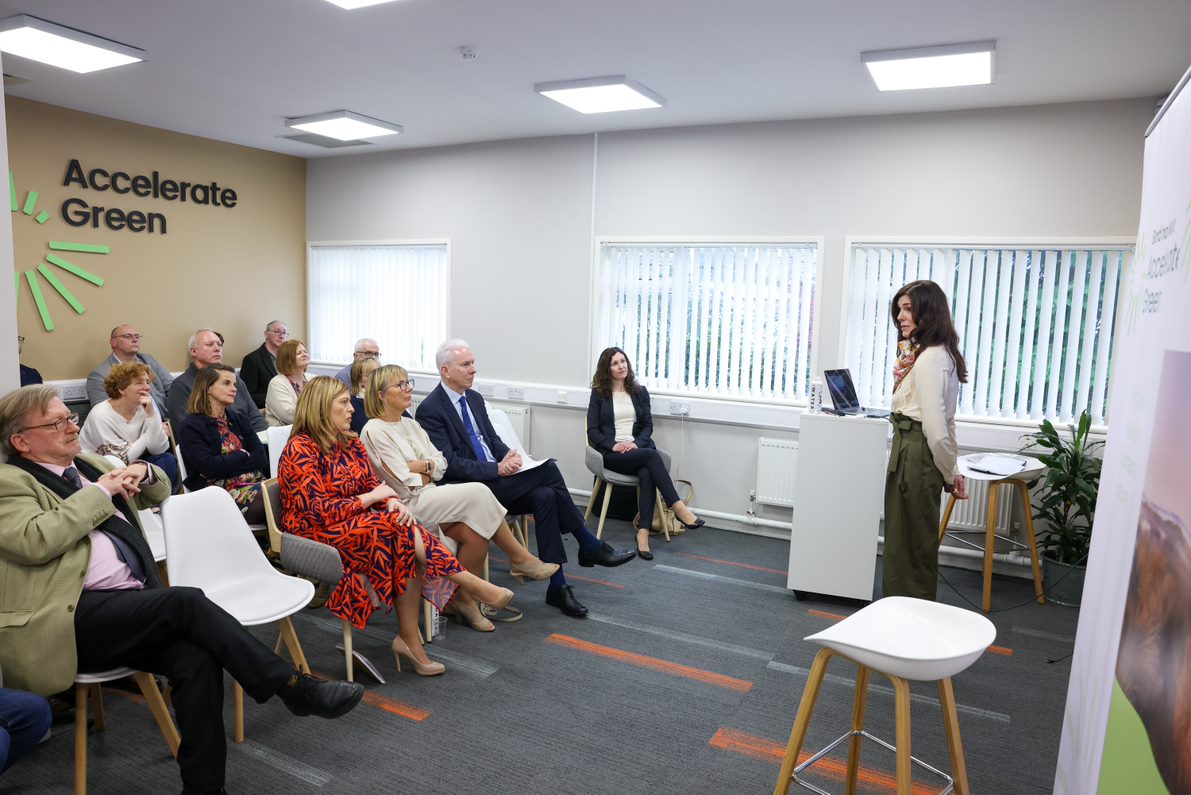 Accelerate Green: The accelerator programme for business - Wasted.ie